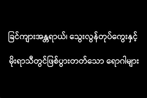 ခြင်ကျားအန္တရာယ်၊ သွေးလွန်တုပ်ကွေးနှင့် မိုးရာသီတွင်ဖြစ်ပွားတတ်သော ရောဂါများ Myanmar Digital News