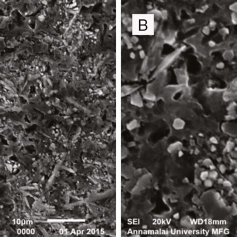 Sem Micrograph Shows Al Tib2 Prepared 820°c At Permanent Mould A Tib2