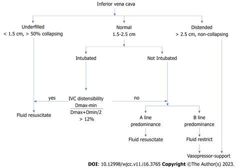 Hypoperfusion Context As A Predictor Of 28 D All Cause Mortality In Septic Shock Patients A