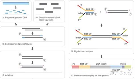 二代测序组学技术 知乎