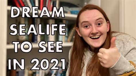 Marine Biologist Helps You Find Sealife In 2021 Youtube