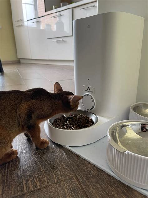Умная кормушка для животных Xiaomi Petkit Mini Smart Feeder Metal ...