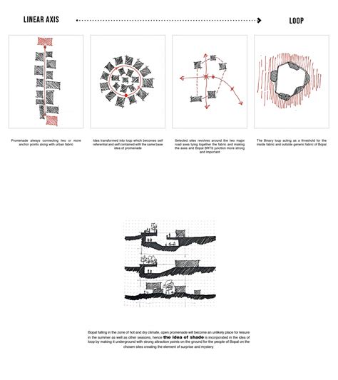 The Binary Loop Cept Portfolio