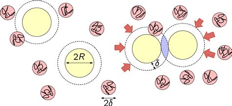 14 Colloids