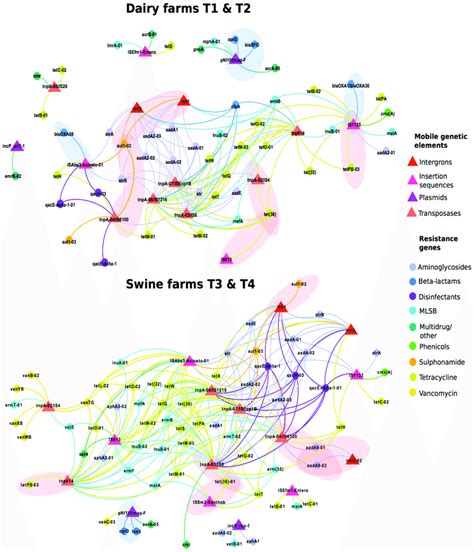 Network Analysis Revealed Co Occurrence Patterns Between Antibiotic