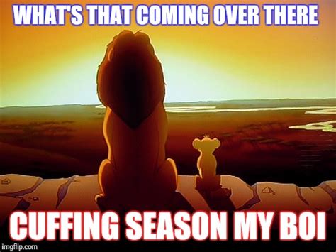 Lion King Meme Imgflip
