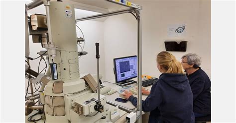 Trichoderma Asperellum T34 A Proven Strain For Sustainable Disease