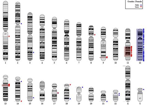 Molecular Detection And Analysis Of Cancer Cancerquest