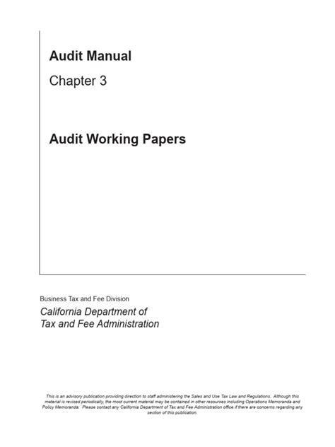 audit manual 3 pdf audit computer file