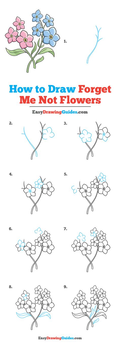 How To Draw Forget Me Not Flowers Really Easy Drawing Tutorial