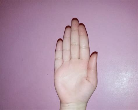 Rgb Arabic Alphabet Sign Language Aasl Dataset Object Detection Dataset V5 2023 03 13 10