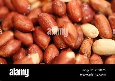 Groundnut Harvest Stock Videos And Footage Hd And 4k Video Clips Alamy