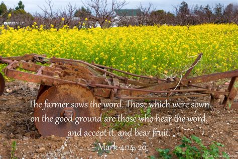 Bible Verses As Art The Farmer Sows The Word