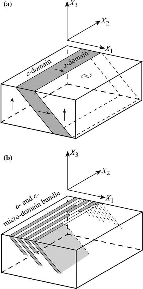 A Schematic Diagram Of A Single Lamellar A Domain Shown Shaded In A