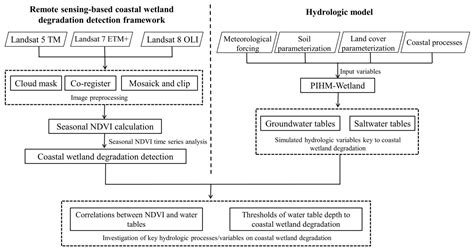 Detecting Coastal Wetland Degradation By Combining Remote Sensing And Hydrologic Modeling