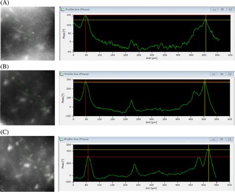 on the left phase images corresponding to the reconstructed images