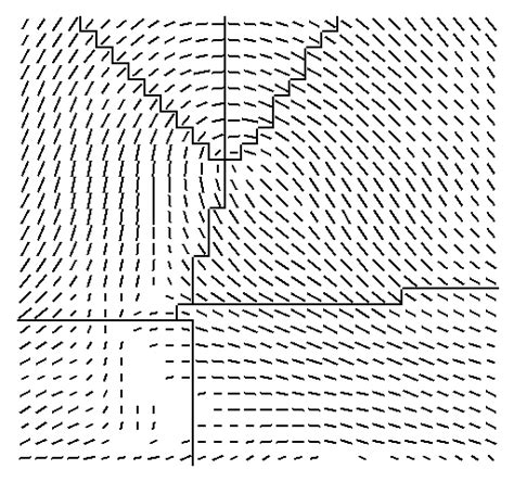 structure of fingerprint classes l r t extracted by a