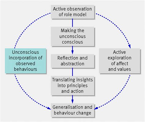 Types Of Modelling In Education At Virgie Foreman Blog