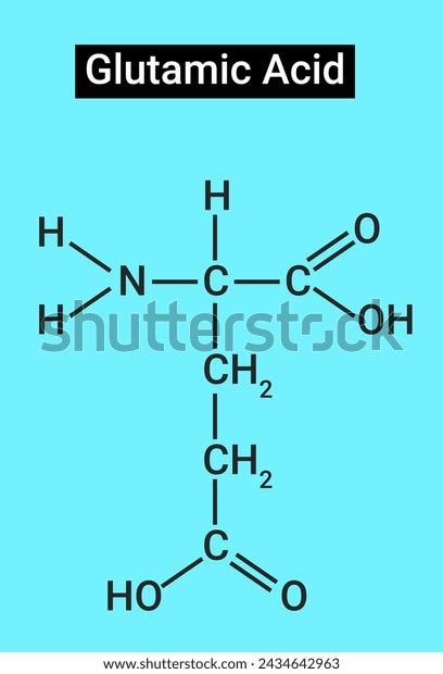 Chemical Structure Glutamic Acid Stock Vector Royalty Free 2434642963