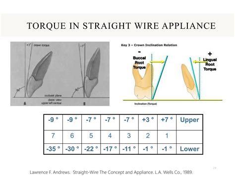 Torque In Orthodontics Short Ppt Basic Pptx
