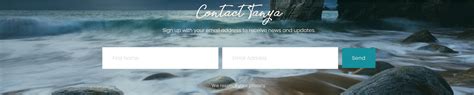 How To Hide Newsletter Block Last Name Field On Squarespace 7 1 — Primitus Consultancy