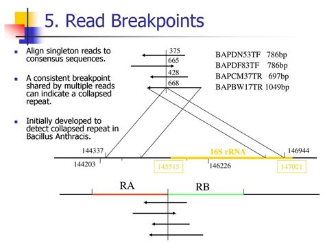 Amos Assembly Validation And Visualization Ppt Download