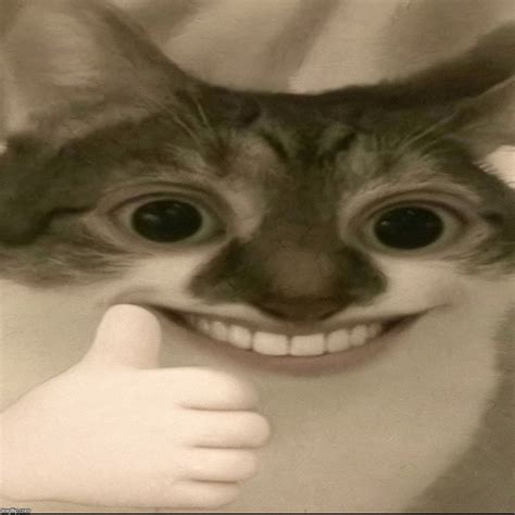 Bombastic Side Eye Cat V3 Imgflip