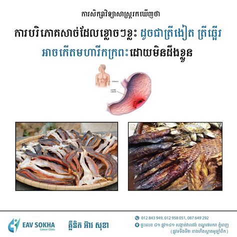 👉ឧស្សាហ៍ញ៉ាំ ត្រីងៀត ត្រីឆ្អើរ អាចកើតមហារីកក្រពះដោយមិនដឹងខ្លួន មាន មូល ហេតុ ជា ច្រើន ជំរុញ ឲ្យ