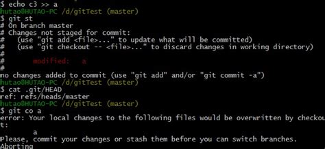 Git Checkout