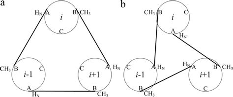 Illustration Of The Two Fold Directional Ambiguity Of An Inter Protomer