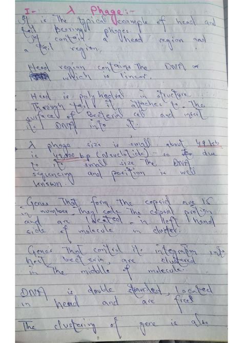 Solution Bacteriophages Lambda Phage M13 Phage And Their Life Cycle