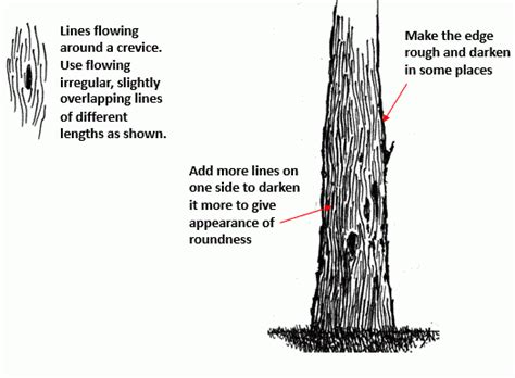 How To Draw Tree Trunks With Pen And Ink Ink Drawing Techniques Tree Trunk Drawing Ink Pen