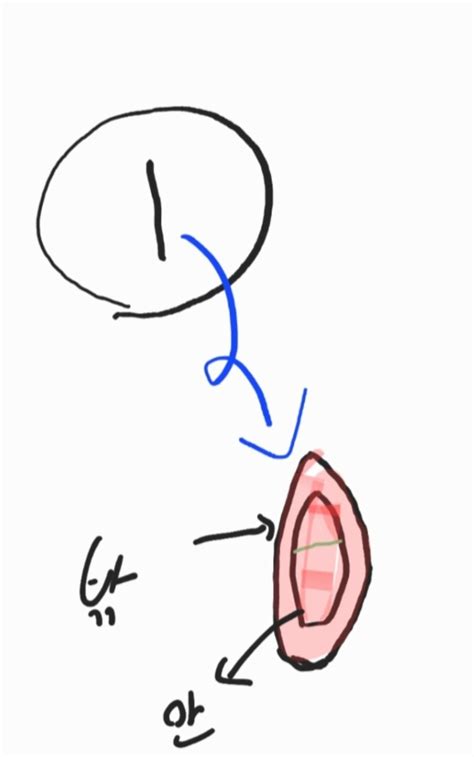 남자요도 형태 및 간헐적인 통증찌릿에 대한 4가지 질문 지식in