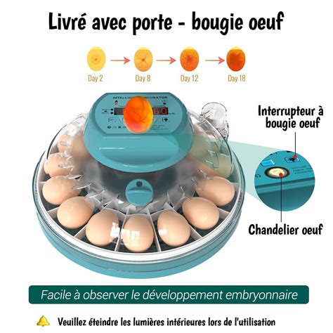 Couveuse Oeuf Automatique Incubateur Oeuf Automatique Contrôle Automatique De La Température
