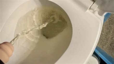 Trans Man Takes Long Messy Loud Piss With Stp Device Shemale Ladybabe Ladybabe Porn XHamster