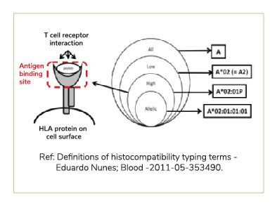 High Resolution HLA Testing MedGenome