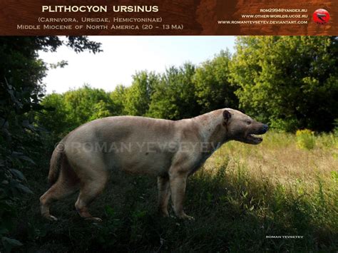 Plithocyon Ursinus By Romanyevseyev On Deviantart