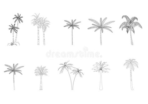 Tree Line Drawing Side View Graphics Stock Vector Illustration Of