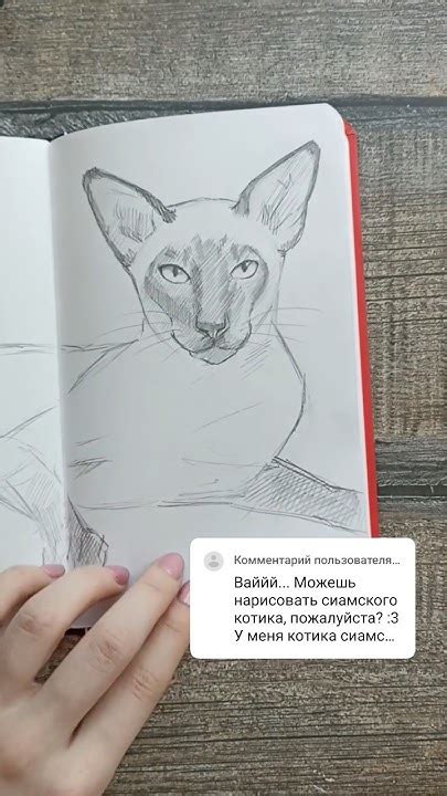 Вк тгк Портрет питомца от Котовщиковой котики скетч скетчбук Youtube