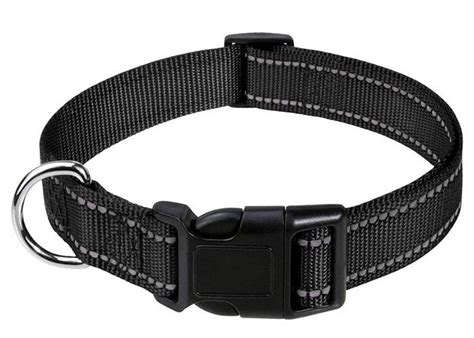 Best Collars For Cockapoos Cockapoo Hq