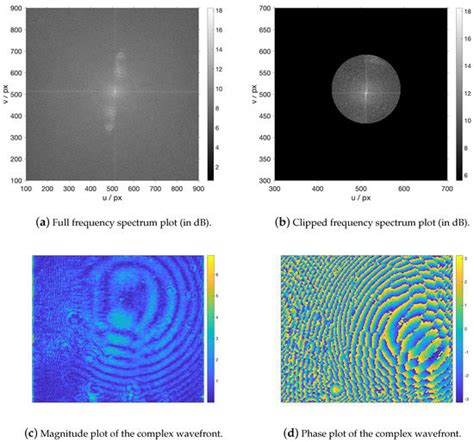 Off Axis Holographic Interferometer With Ensemble Deep Learning For Biological Tissues