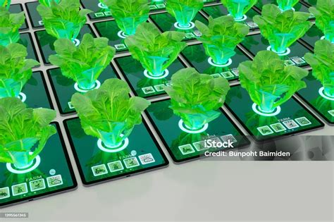 Gambar Konsep Menanam Sayuran Dengan Tablet Pertanian Cerdas Dengan Iot Iot Di Pertanian