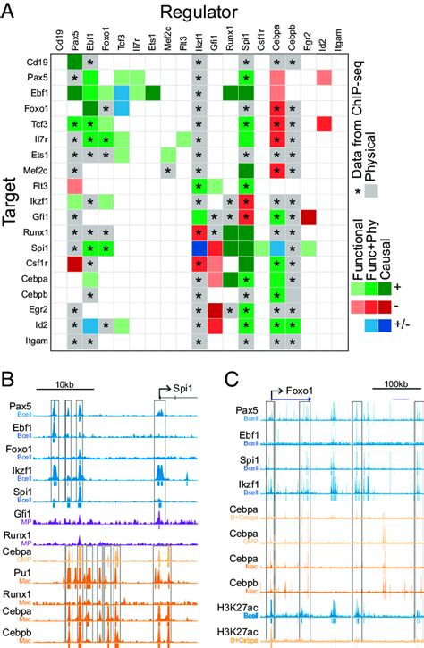 A Heatmap Showing The Regulations Inferred From The Literature And