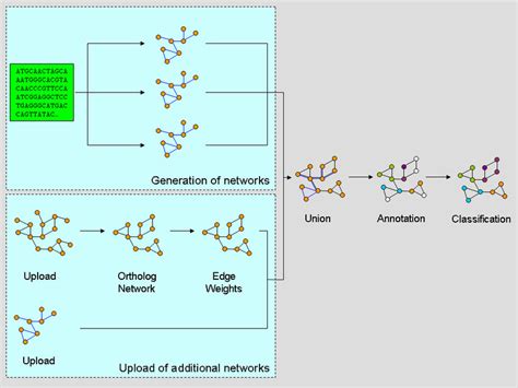 Design Of A Semi Automatic Classification System For Novel Genomes
