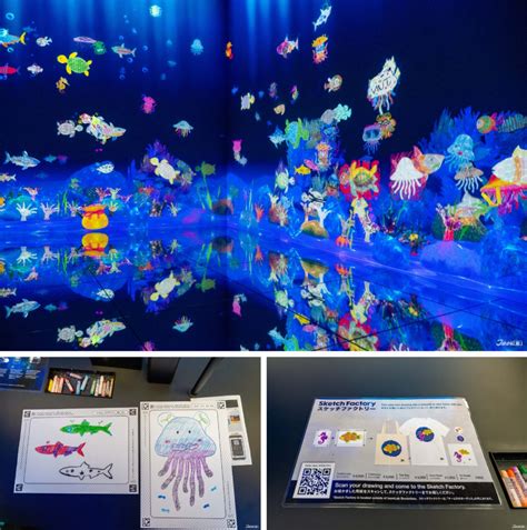 Borderlessteamlabart Teamlab Borderless Tokio Oficial