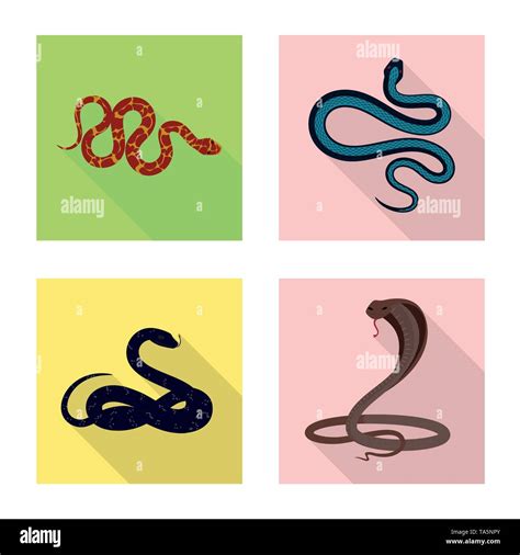 Vector Design Of Skin And Reptile Icon Collection Of Skin And Danger Stock Symbol For Web Stock