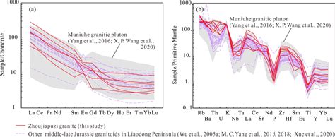 Chondrite Normalized Ree Patterns And Primitive Mantle Normalized Trace