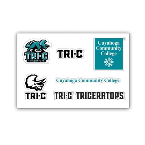 Custom Removable Stickers