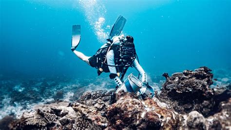 What Does A Marine Biologist In The Maldives Do All Day