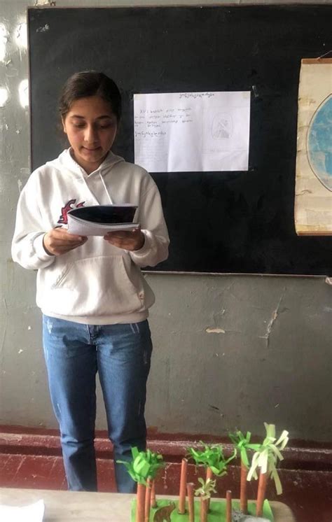 „სამხრეთ ამერიკა“ სამტრედიის N4 საჯარო სკოლის მე 8 კლასის მოსწავლეებმა საინტერესო კომპლექსურ